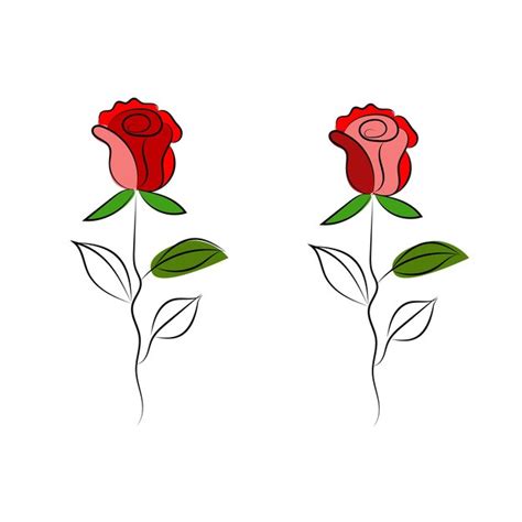 흰색 배경에 두 개의 장미 프리미엄 벡터