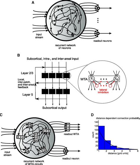 Emergence Of Dynamic Memory Traces In Cortical Microcircuit Models Through Stdp Journal Of