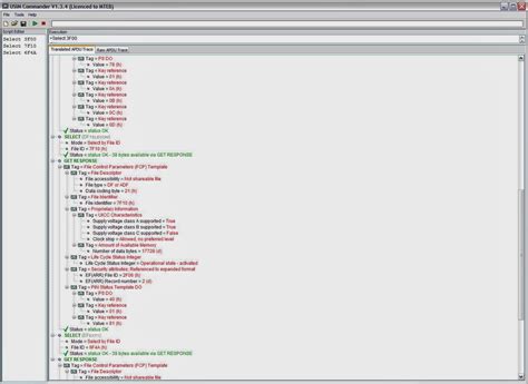 Examination And Evidence From SIM And USIM Cards U ICC U SIM Script Commands And Responses