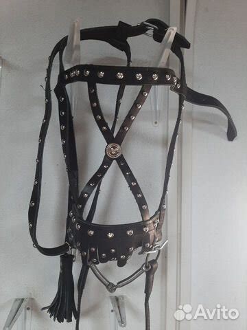 Узда для лошади купить в Байките | Животные и зоотовары | Авито