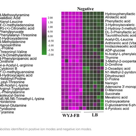 The Isolation And Characterization Of Endophytes Isolated From The Download Scientific Diagram