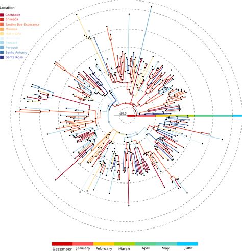 Epidemiological Dynamics Of An Urban Dengue 4 Outbreak In São Paulo