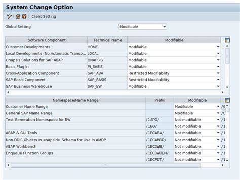 Securing Clients In SAP S 4HANA And Netweaver ABAP Onapsis