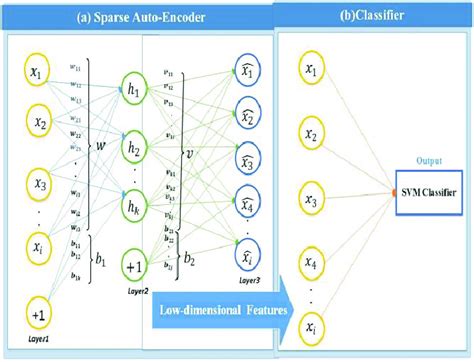Self Taught Learning Stages Download Scientific Diagram