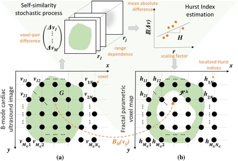 Multiscale Parametric Mapping Based On Fractional Brownian Motion ˜ B Download Scientific