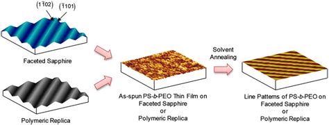 Schematic Illustrations Of Preparation Of Highly Ordered And Oriented Download Scientific