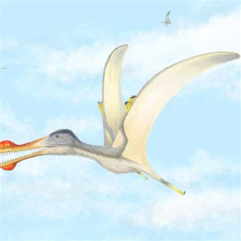 Dinosaur Pterosaur
