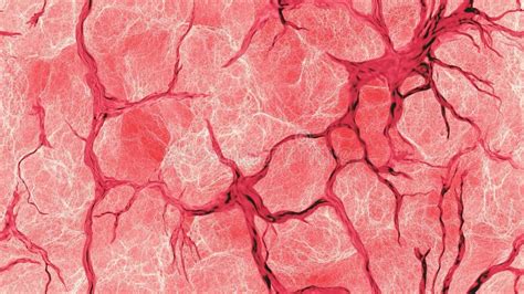 Neurons And Synapses Network Complex Neural Structure Visualization Stock Image Image Of