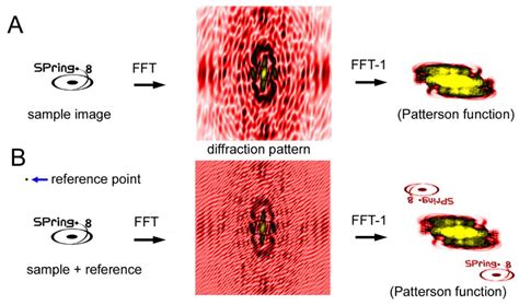 Synchrotron Radiation X Ray Diffraction Techniques Applied To Insect Flight Muscle