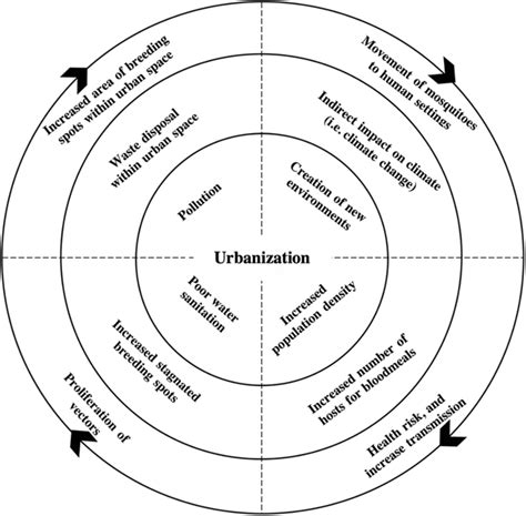 Interaction Diagram Of Unplanned Urbanization Illustrating The