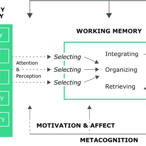 Cognitive Affective Theory Of Learning With Transmedia Catlt Adapted