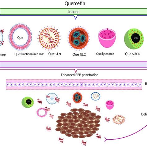 Schematic Presentation Of Que Different Nano Delivery Systems That Download Scientific Diagram