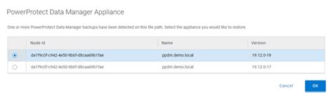 Server Recovery Dell Powerprotect Cyber Recovery Recovery From The Cyber Recovery Vault Using