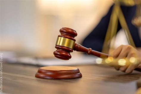 74 წლის კაცის მკვლელობაში ბრალდებულ 15 წლის გოგოს სასამართლომ წინასწარი პატიმრობა შეუფარდა