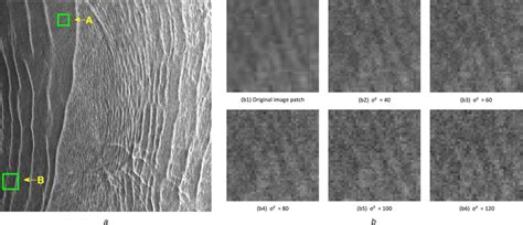 Original Image And The Input Image Patches Where Original Image Patch Download Scientific