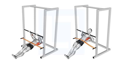 Inverted Row Guide Benefits And Form