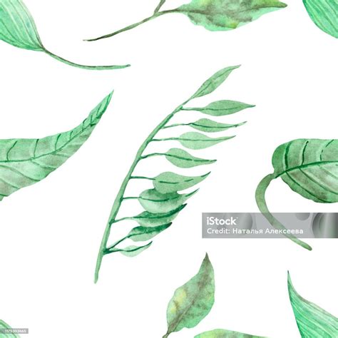 수채화 손 은 녹색 열대 잎과 섬유 및 배경 화면의 흰색 배경에 고립 된 유칼립투스 가지와 자연 정글 원활한 패턴을 그린 0명에 대한 스톡 벡터 아트 및 기타 이미지
