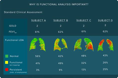 Lung Density Analysis™ Functional Imbio