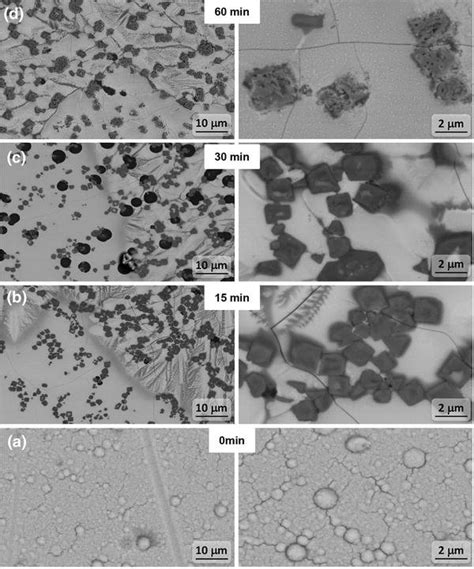 sem micrographs at 2000x and 10 000x magnification of thin films