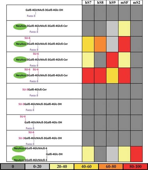 Microarray Analyses Of Siglec Igg Fc Chimera Binding To Sialyl And Download Scientific Diagram