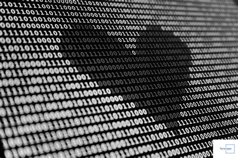 Data Driven Organization