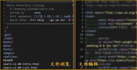 Vim学习笔记 文件浏览器netrw 知乎