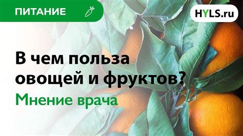 🍎 Как правильно есть фрукты и овощи Как часто есть фрукты и овощи
