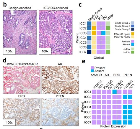 复现nc文章华夫图方块图华丽展示实验样本构成ggwaffle Csdn博客
