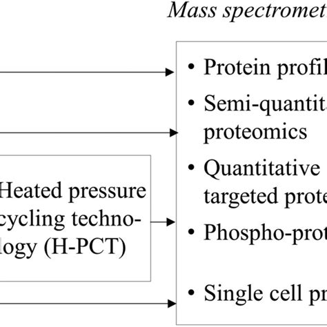 Scheme Of The Spatial Proteomics In Ocular Tissues Download Scientific Diagram