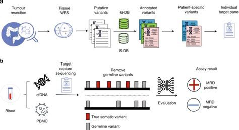 Imbdx On Linkedin Personalised Circulating Tumour Dna Assay With Large