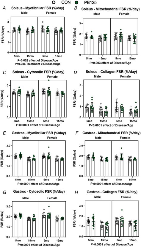 Fractional Synthesis Rates Fsr Of Both The Soleus And Gastrocnemius Download Scientific