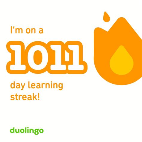 Fatemeh Soltani On Linkedin شاید هدف اصلی و شناخته شده از دولینگو