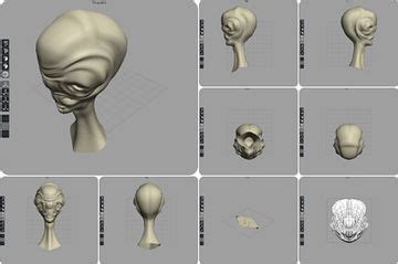 Viewport Camera Nevercenter D Modeling Wiki
