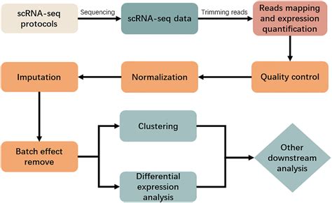 Commonly Used Single‐cell Transcriptome Sequencing Data Processing