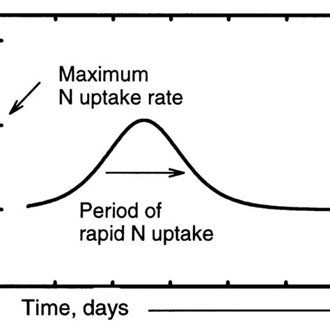 B Example Cumulative N Uptake Curve Download Scientific Diagram