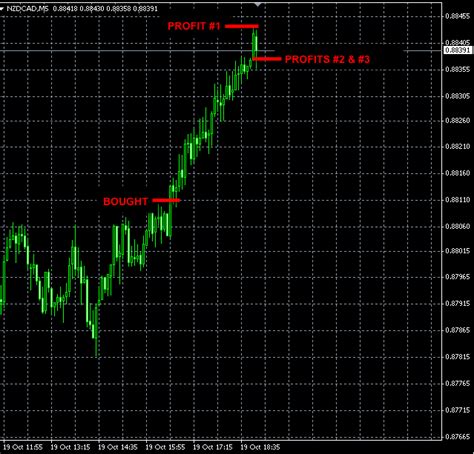 Best Forex Signals Hacaviation