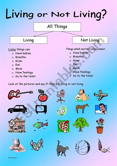 Classification Unit Of Work Elementary To Intermediate 8 Pages
