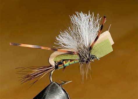 fly r photo