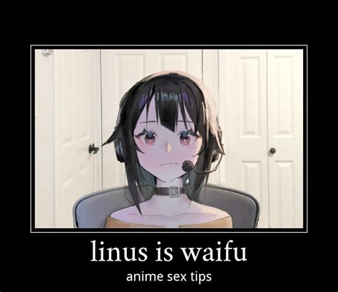i r linustechtips
