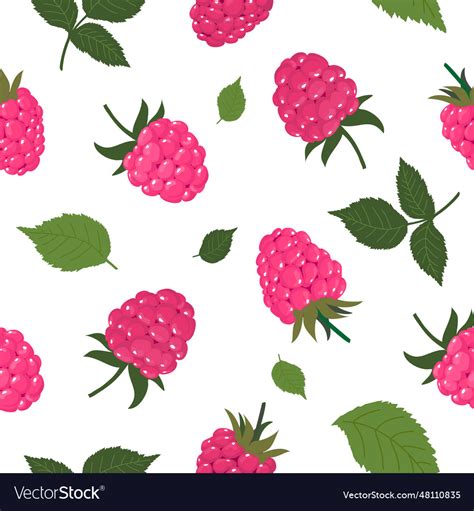 Bg Raspberry Leaves Royalty Free Vector Image Vectorstock