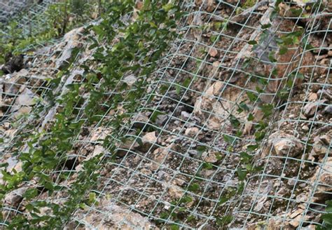 plastic trellis netting for climbing vegetables and plant support
