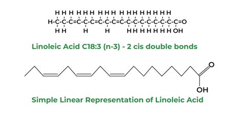 Difference Between Lipids And Fats GeeksforGeeks