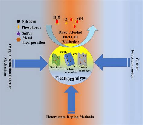 Recent Progress On Carbon‐based Electrocatalysts For Oxygen Reduction Reaction Insights On The