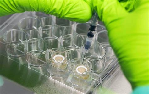 Genoskin At Fda To Present Skin Models Validation Data Genoskin