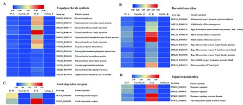 Transcriptomic Analysis Of Genes Associated With Biofilm Formation Of Download Scientific