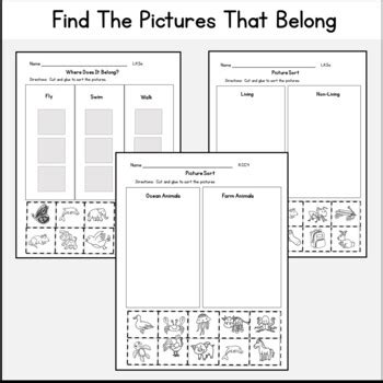 Sort And Classify Objects Categories Cut And Glue Worksheets L K A