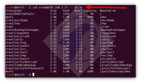 Running Commands On A Remote Linux Unix Host Using Ssh Nixcraft