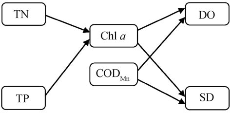 Structure Of Bayesian Networks Download Scientific Diagram