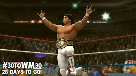Ricky Steamboat Titles