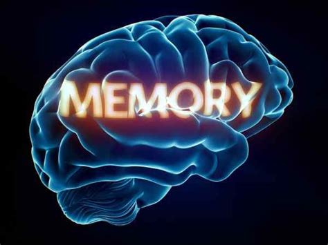 How Memory Works The Five Key Stages To Know Mdlines